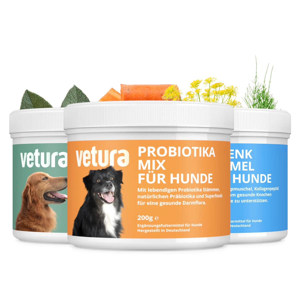Vetura Abo Box - Vetura®